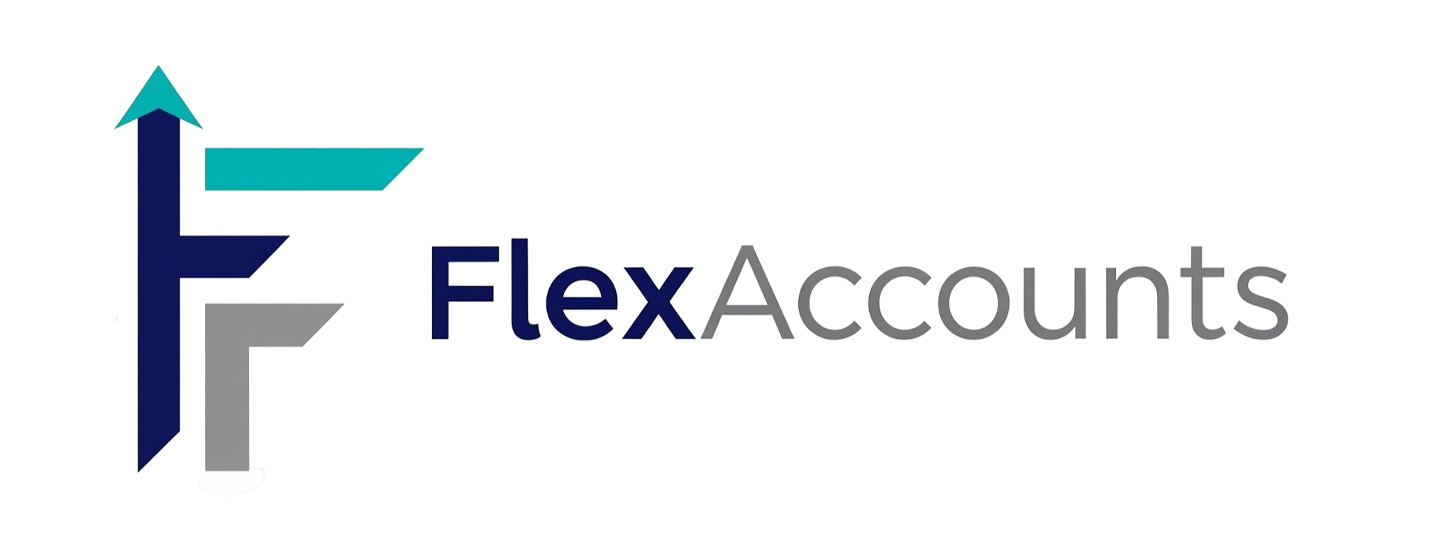 FlexAccounts - Professional Accounting Software